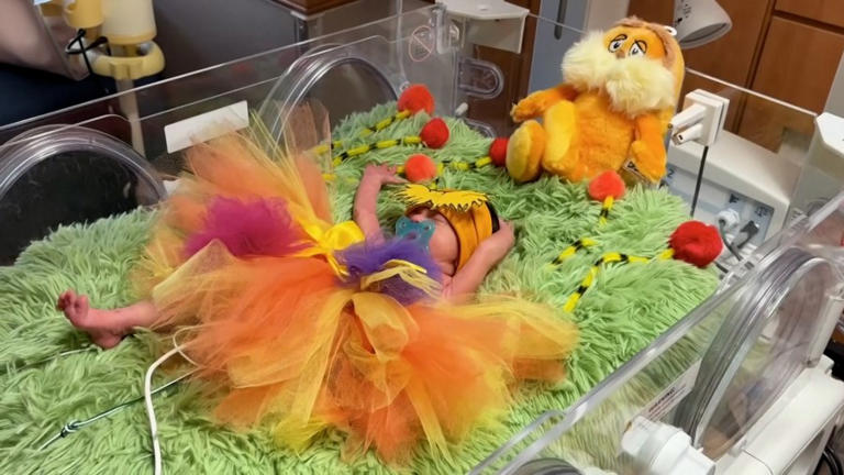 Florida hospital dresses NICU babies in Dr. Seuss-themed outfits for ...