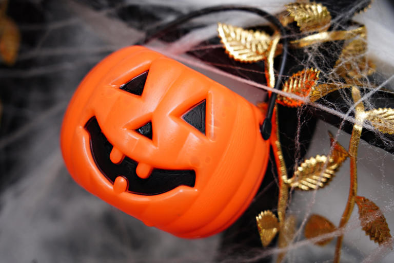 Halloween events for kids in SW Florida: Fall fests, trick-or-treating ...