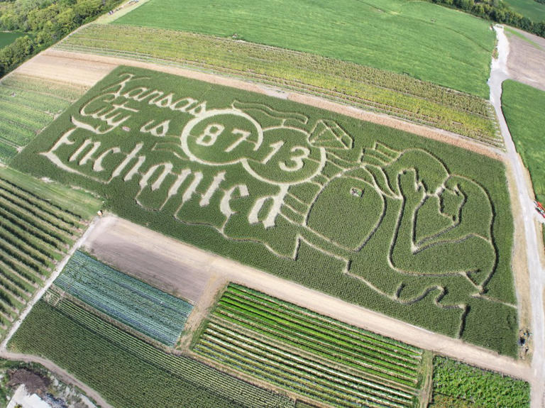 Corn maze celebrates Taylor Swift, Travis Kelce’s engagement