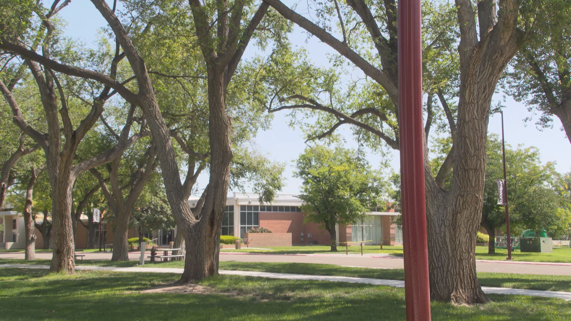 Amarillo area colleges release Fall 2025 enrollment numbers