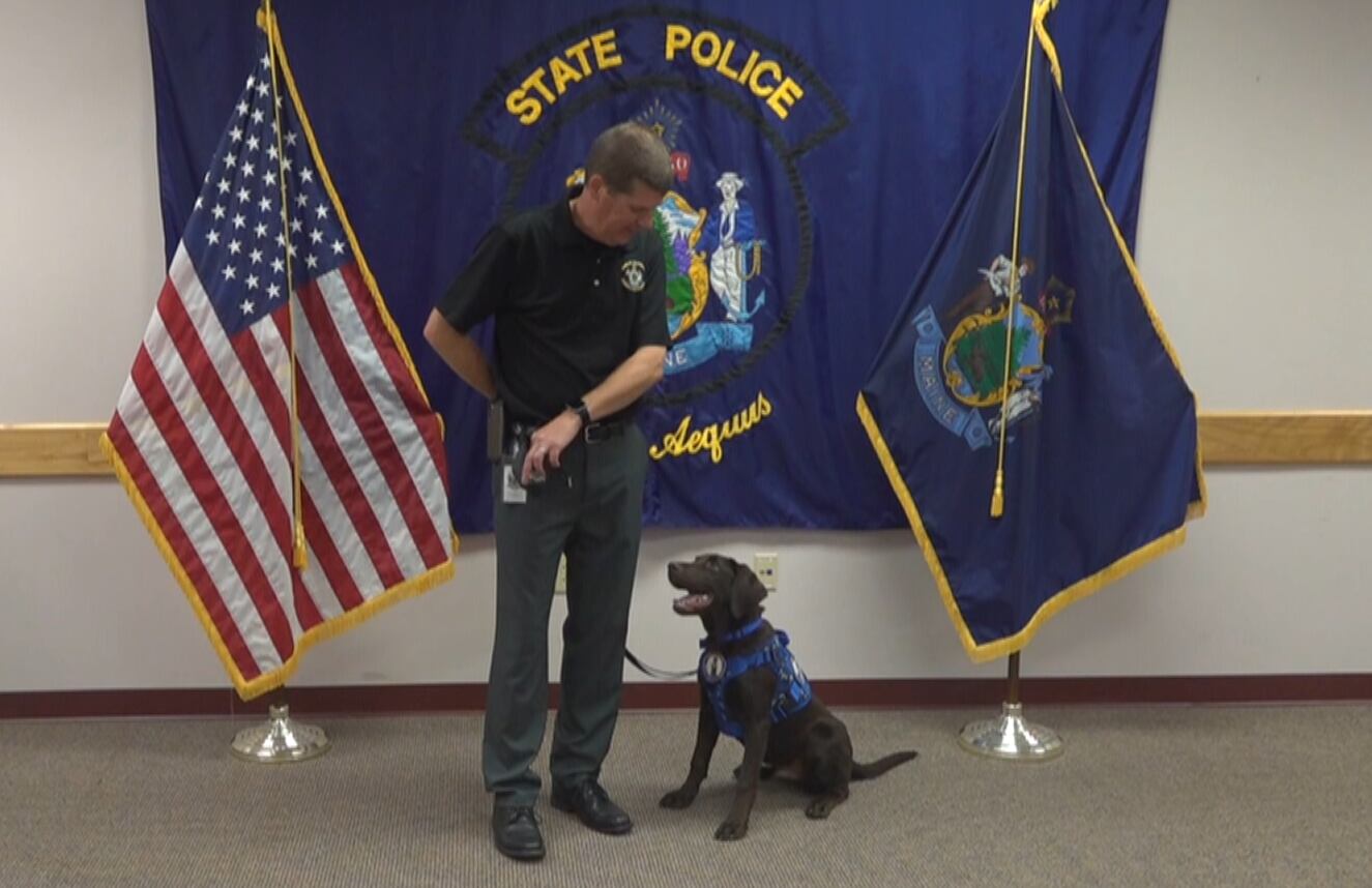 Handler of the Maine comfort dog who died in hot car has resigned