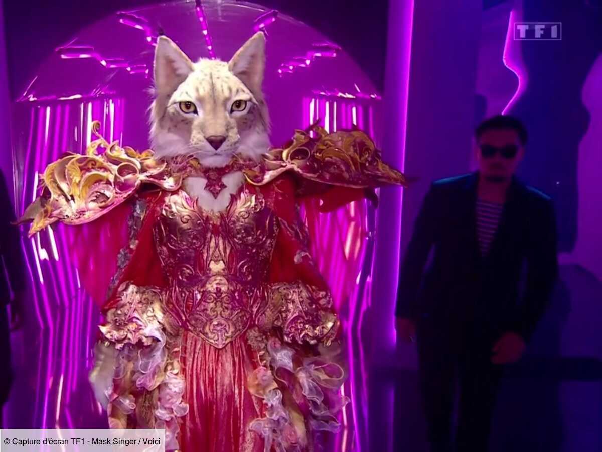 Mask Singer : le Lynx démasqué, voici la personnalité qui se cachait ...