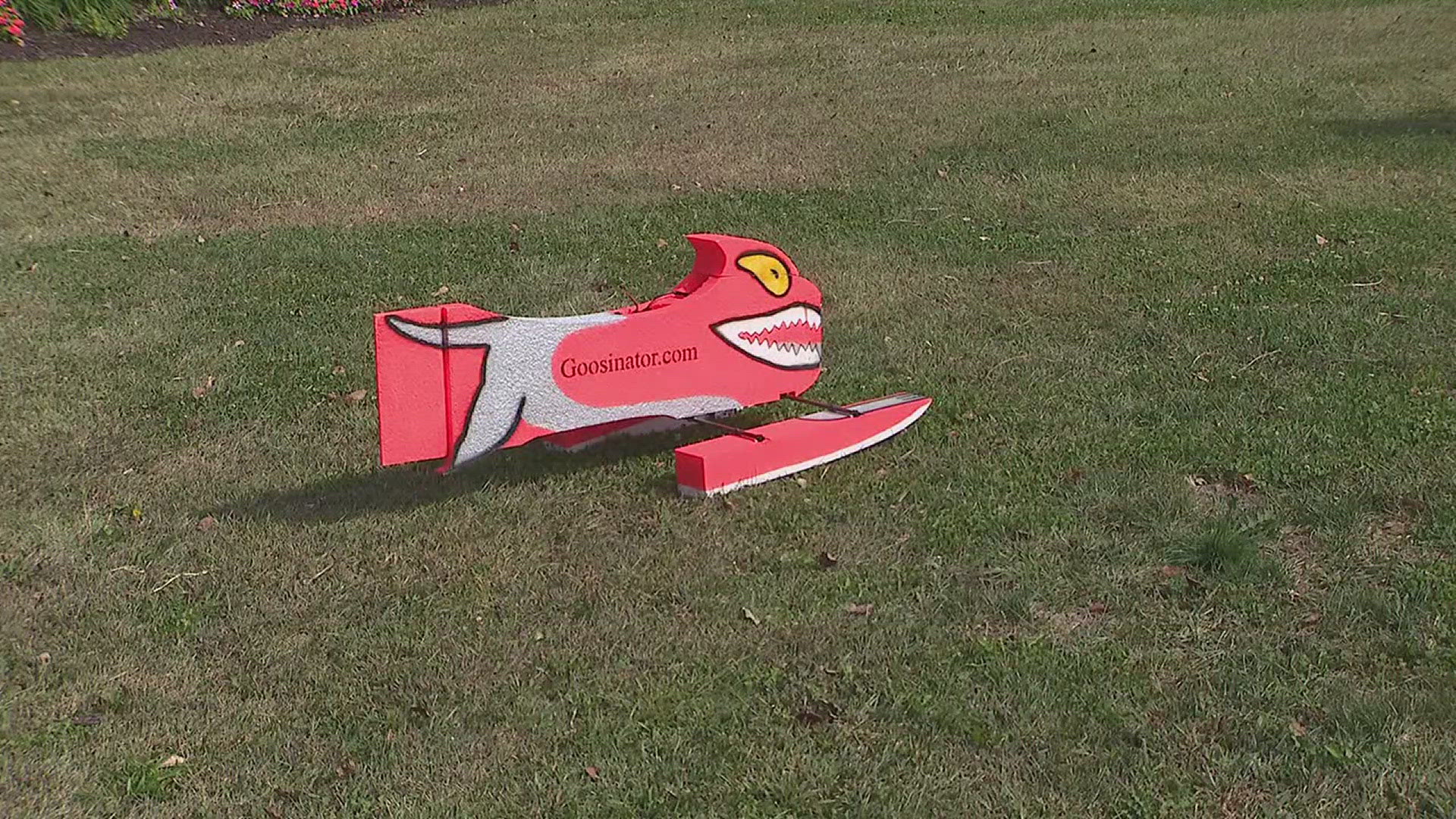 Moline deploys ‘Goosinator’ to address growing goose population in ...