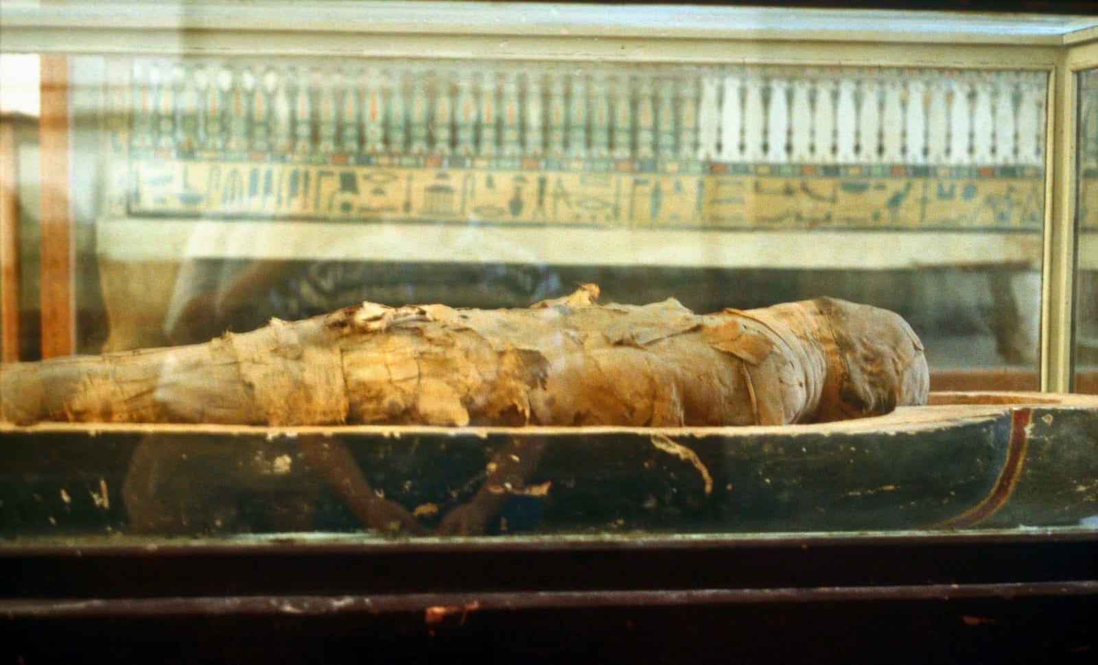 No One Thought Mummies Could Smell Like That— Until People Actually ...