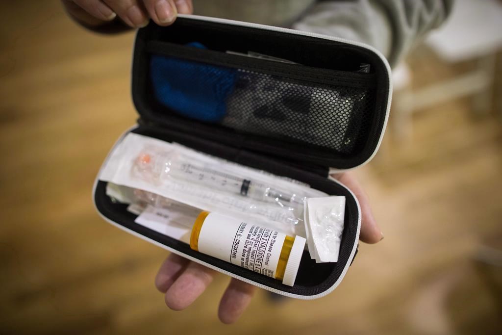 Regina’s Overdose Outreach Team holds overdose awareness event at ...