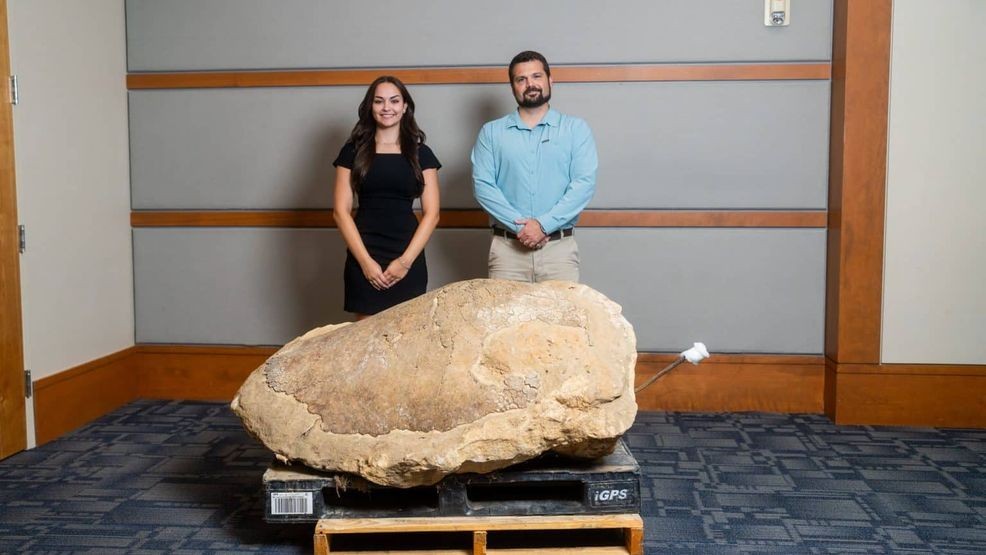 Family fishing trip uncovers rare 32-million-year-old turtle fossil in ...