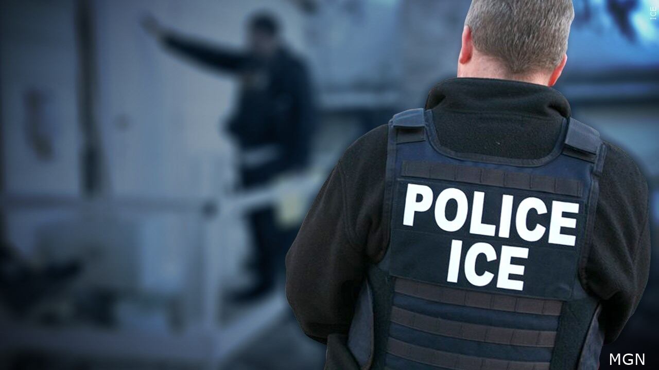 Bryan police issue statement amid federal immigration enforcement ...