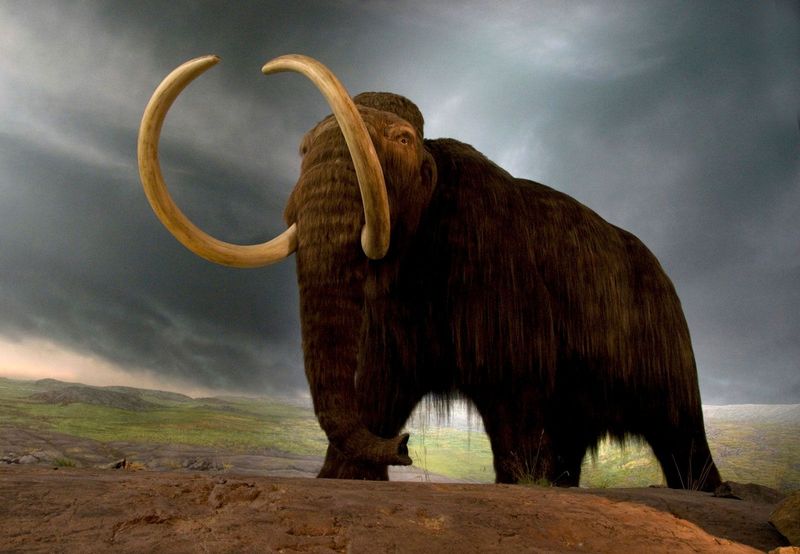 Prehistoric Beasts That May Still Be Alive Today