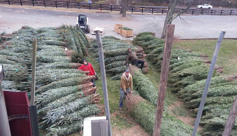Fire Destroys Krops Crops Farm Stand In Great Falls