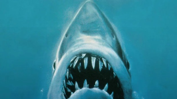 The Academy Museum Celebrates 50 Years of 'Jaws.' Hollywood Can Still ...