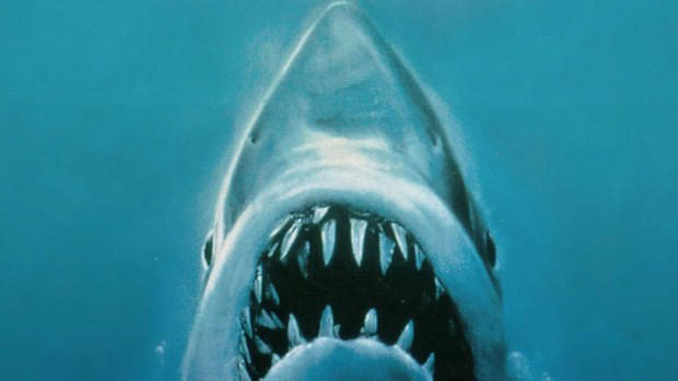 The Academy Museum Celebrates 50 Years of 'Jaws.' Hollywood Can Still ...