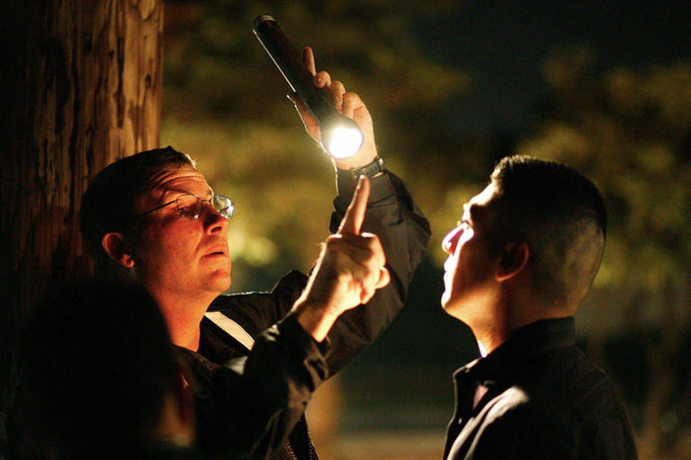 Sacramento police plan DUI checkpoints. Here's when and what to know