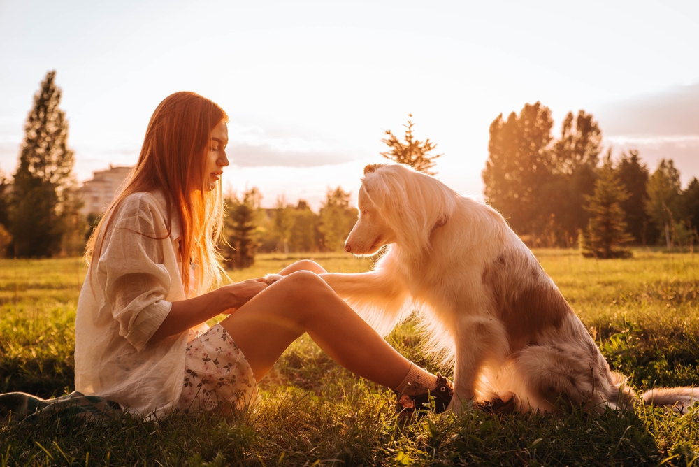 Signs a dog gives when it knows it's dying