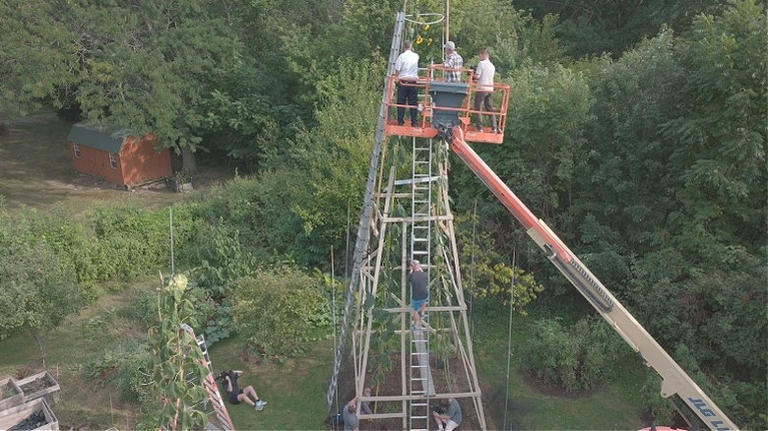The Guinness World Record For Tallest Sunflower Has Been Broken. Meet ...