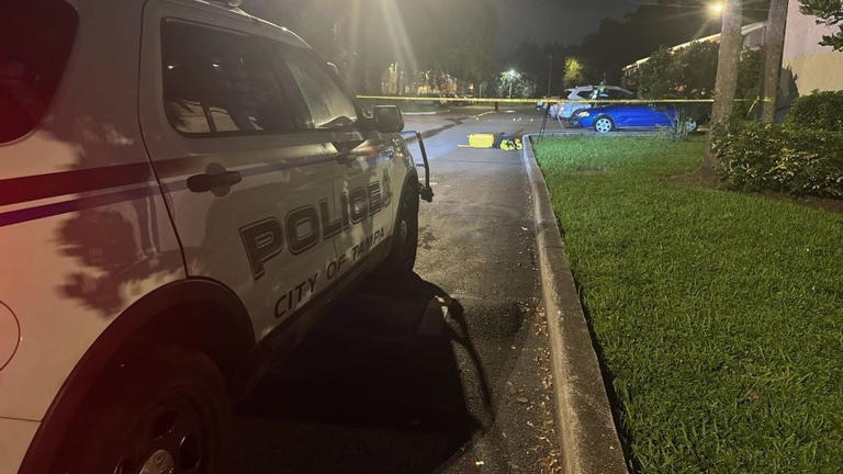 'Senseless gun violence:' Teen killed, 5 injured in overnight shooting ...