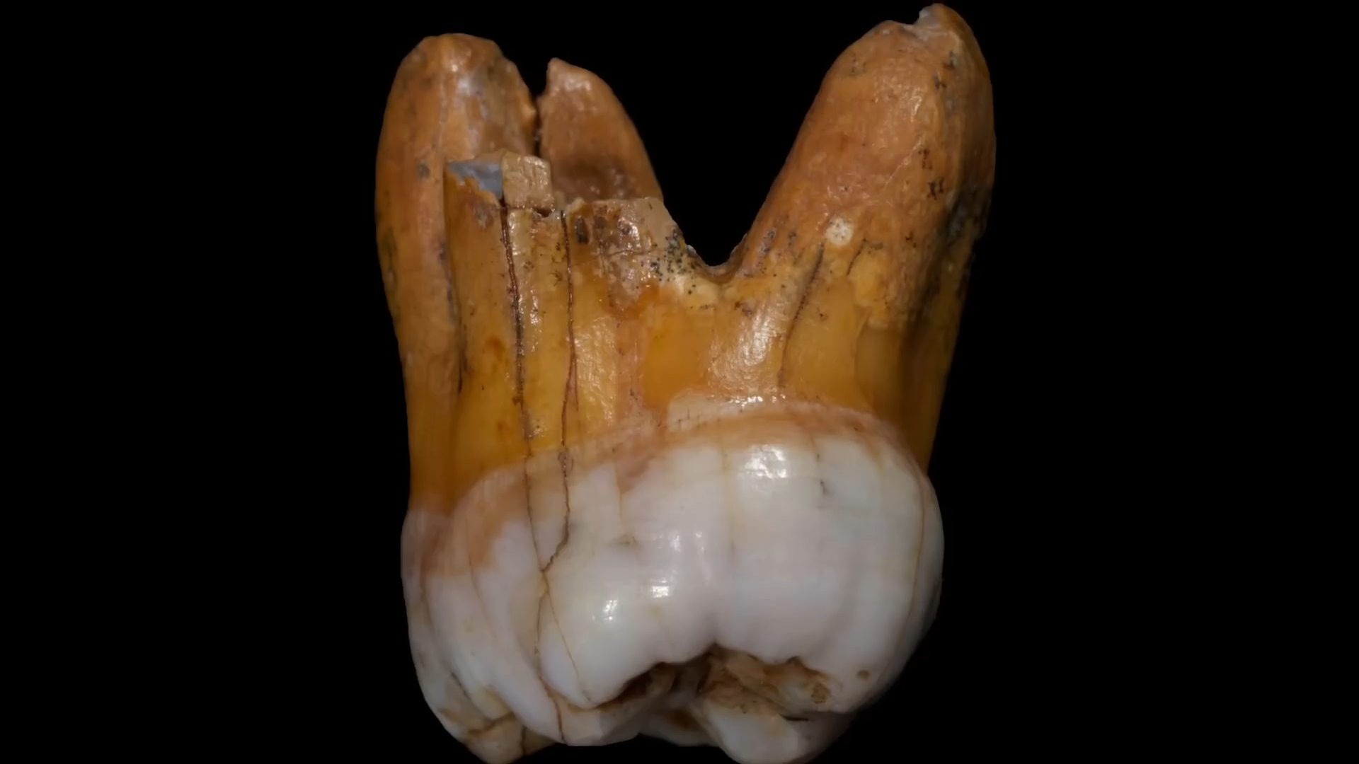 The Mysterious Ancestors Hidden in Ancient Caves
