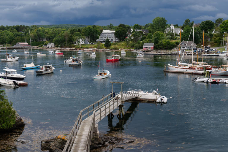 Did a Brooklyn couple kill a neighbor’s trees for a better view in Maine?