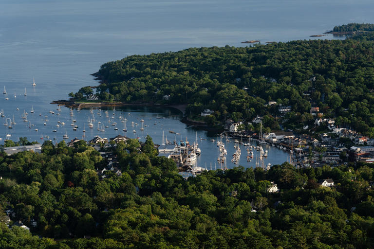 Did a Brooklyn couple kill a neighbor’s trees for a better view in Maine?