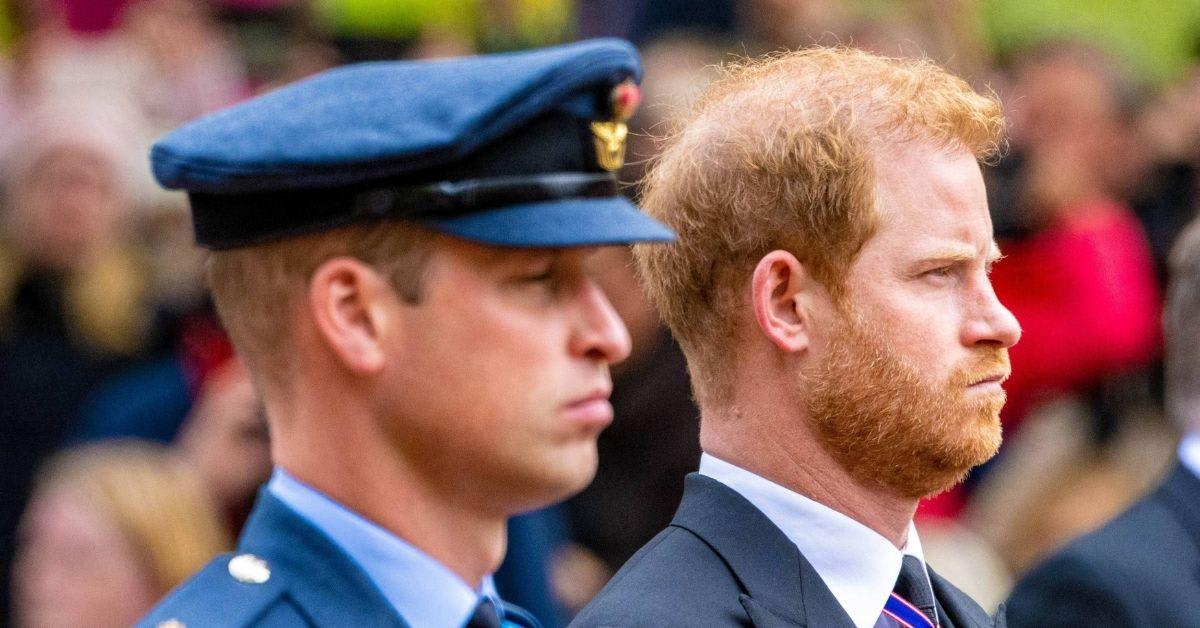 Prince William Was ‘Blindsided’ by Prince Harry and King Charles ...
