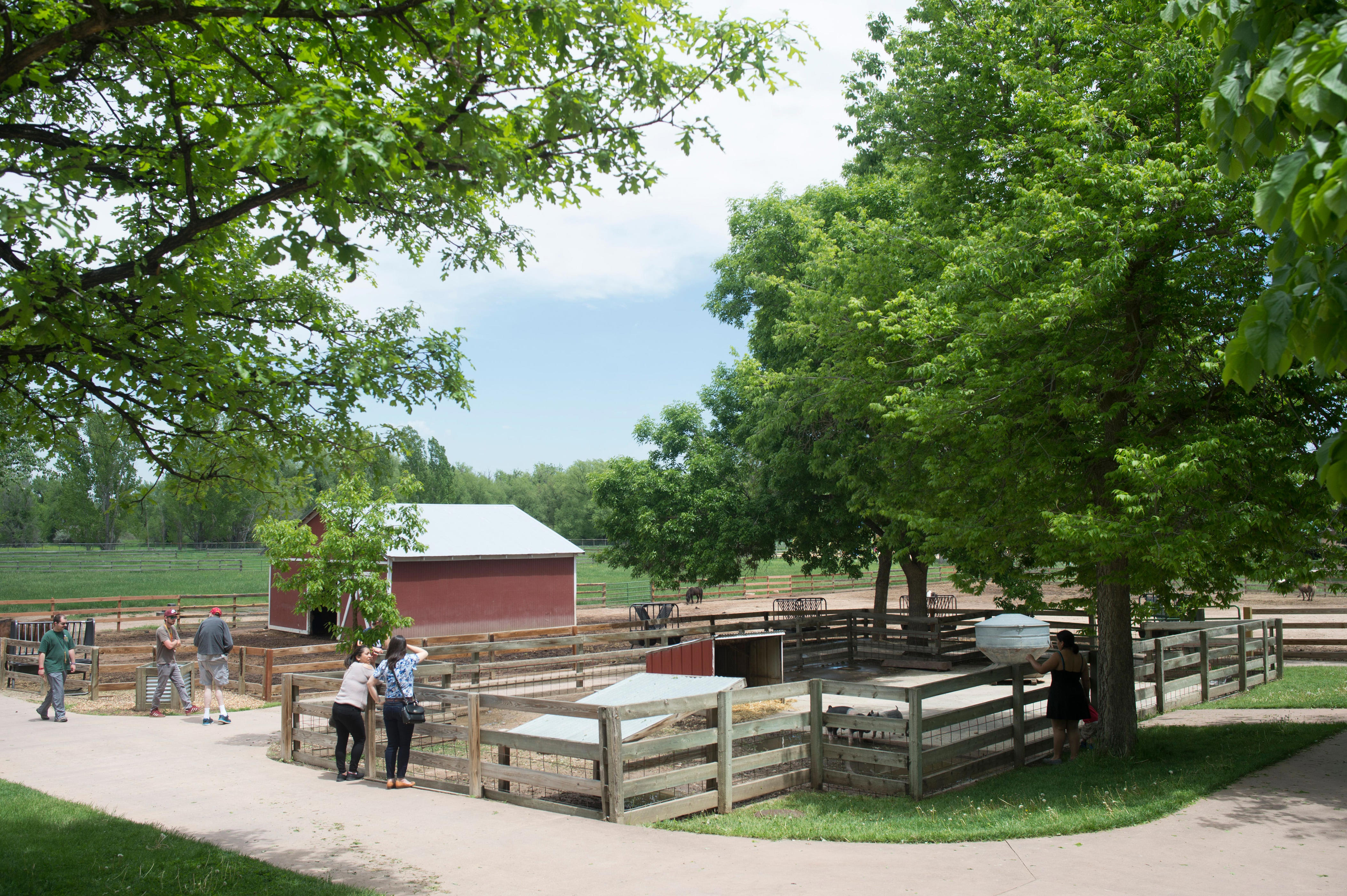 Fort Collins to celebrate 40 years of The Farm at Lee Martinez Park