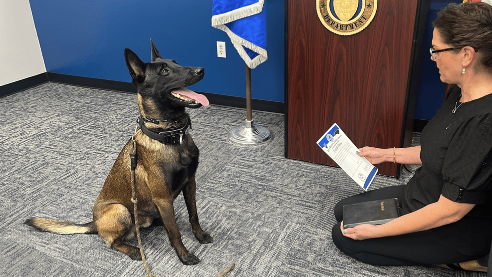 Havelock welcomes K-9 Freddy to the patrol team with official swearing ...