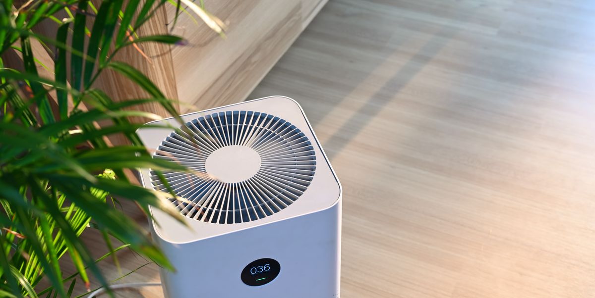 The air in your home can be 5x dirtier than outside—here’s the simple fix