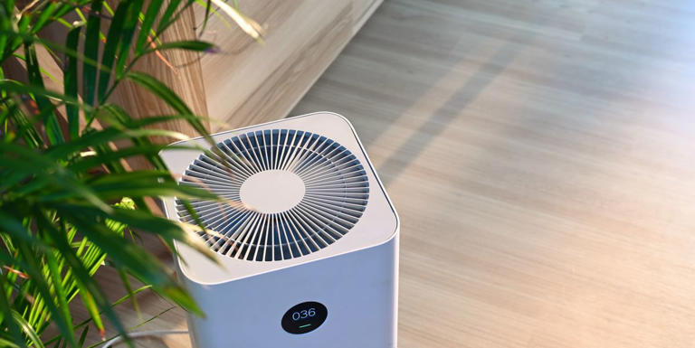 The air in your home can be 5x dirtier than outside—here’s the simple fix