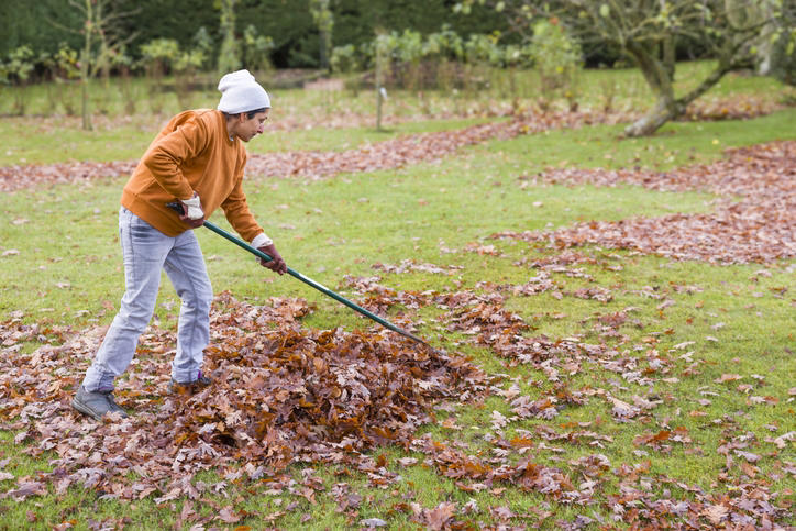 How to prepare your lawn for fall in Canada