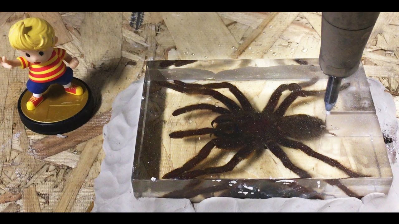 I dissected a tarantula with a waterjet! 🕷️