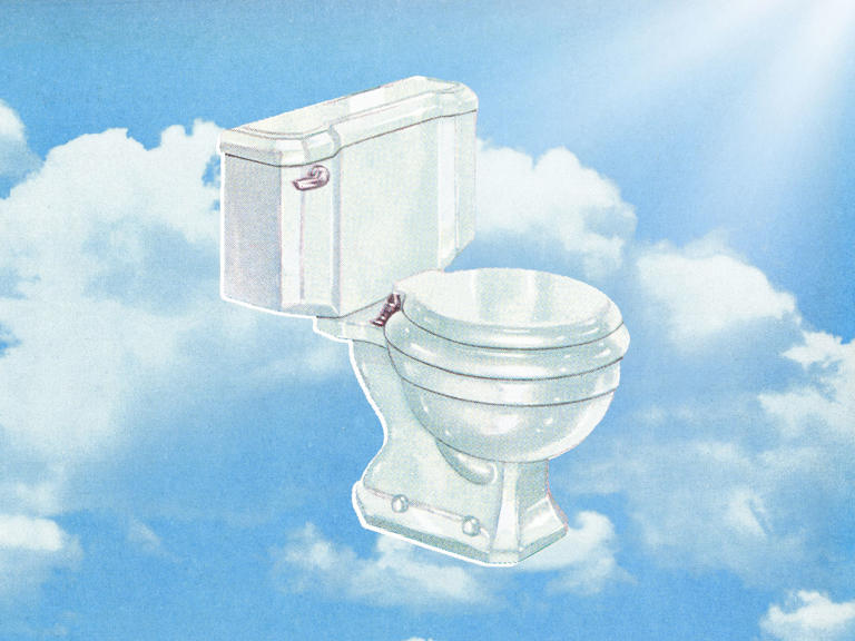 Yes, You Can Probably Poop Better. Here’s How