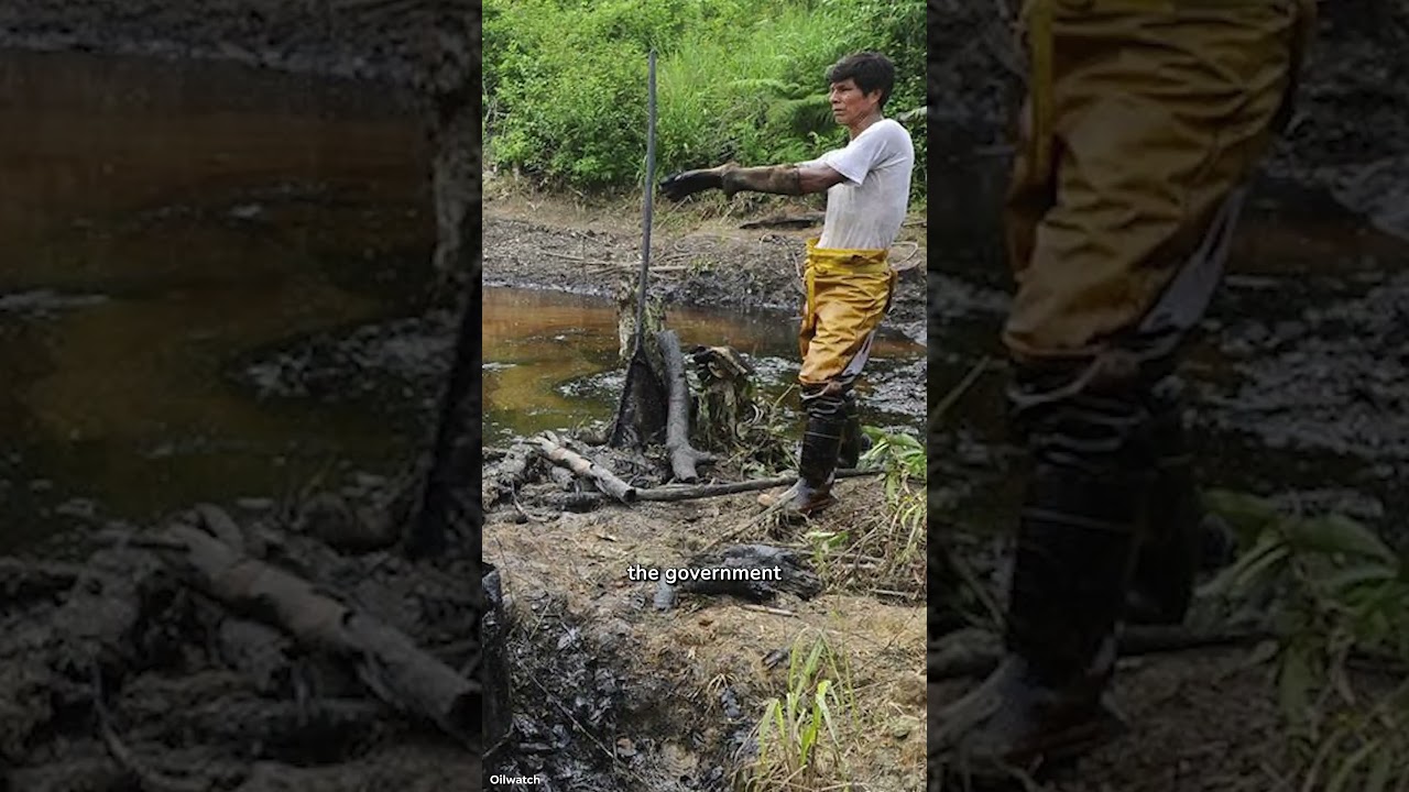 Why this Amazon rainforest victory matters