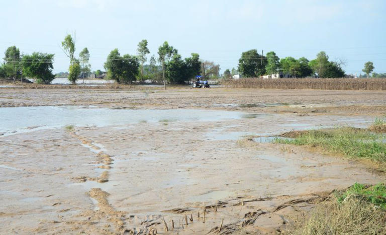 Field markings washed away in floods, silt-hit farmers don’t know where ...