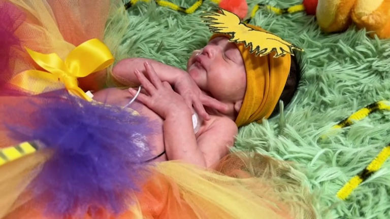 Florida hospital dresses NICU babies in Dr. Seuss-themed outfits for ...