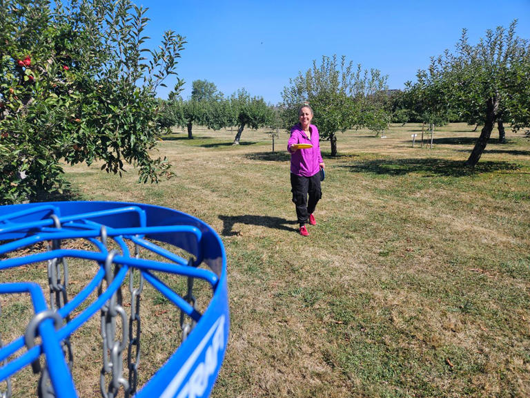 Holiday Beach disc golf plans scrapped after public outcry