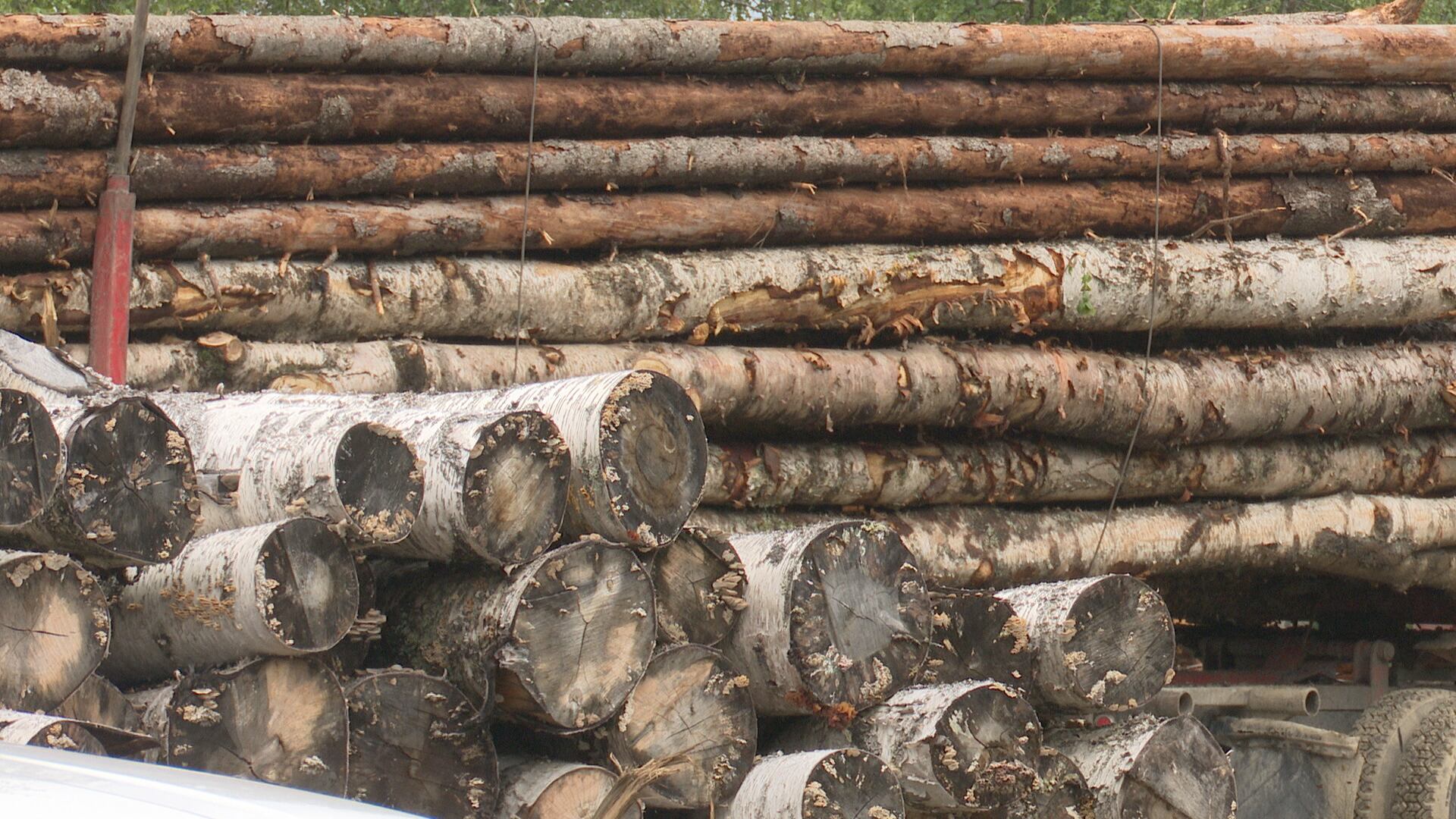 How International Paper’s mill closures are affecting the local logging ...