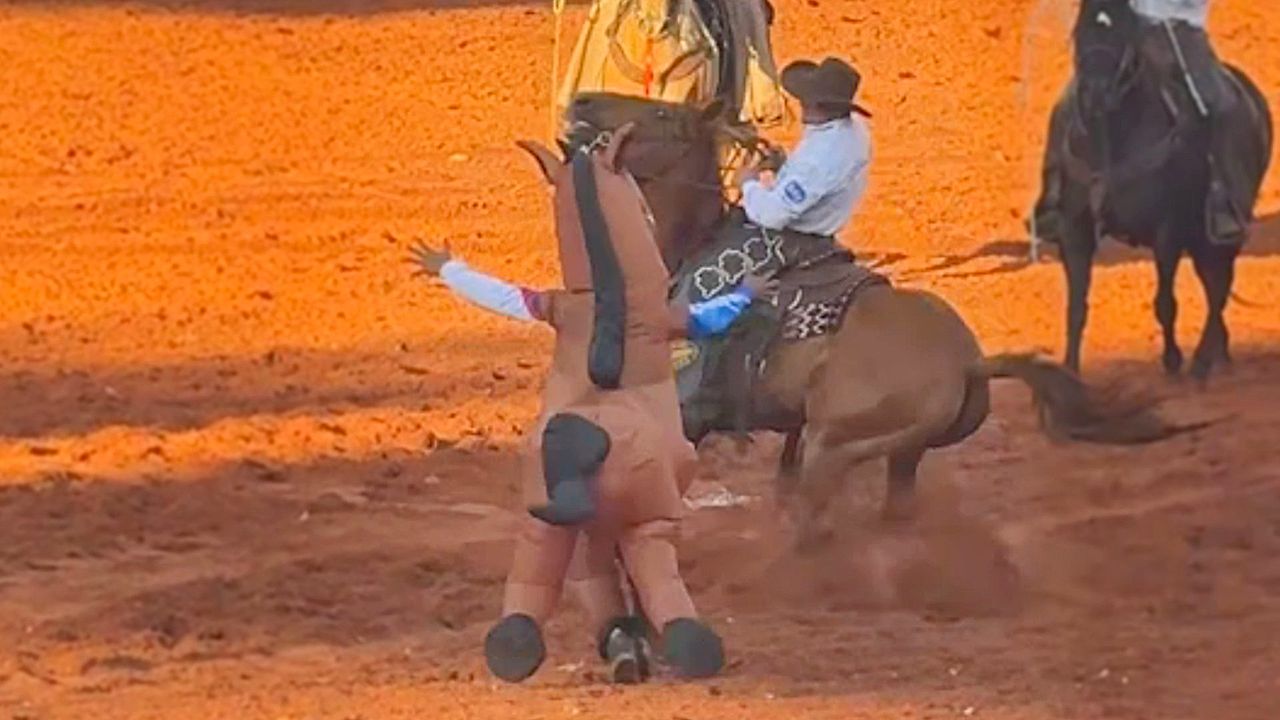 Rodeo descends into chaos as horse get spooked by man in horse costume