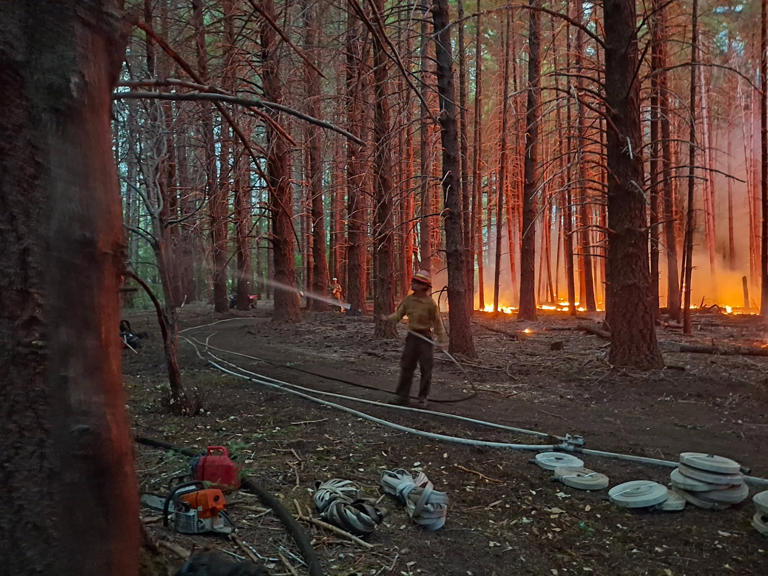 How iconic Half Moon Bar Lodge survived Rogue River wildfires