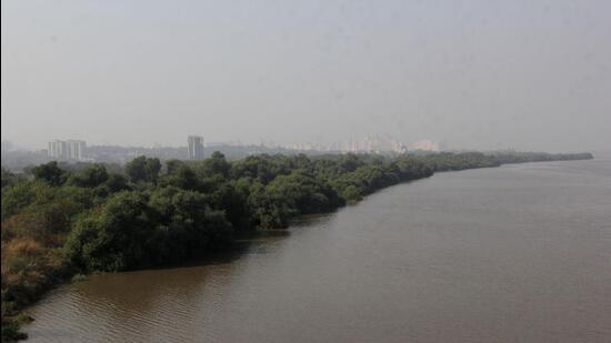 Plant compensatory trees/mangroves before cutting them infra projects: HC