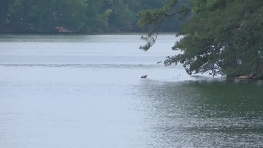 Tragedy on Lake Hamilton claims three lives, including beloved Hot ...