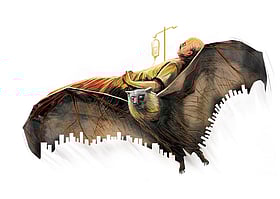 IAV-developed antibody test aims to identify hidden Nipah pathways