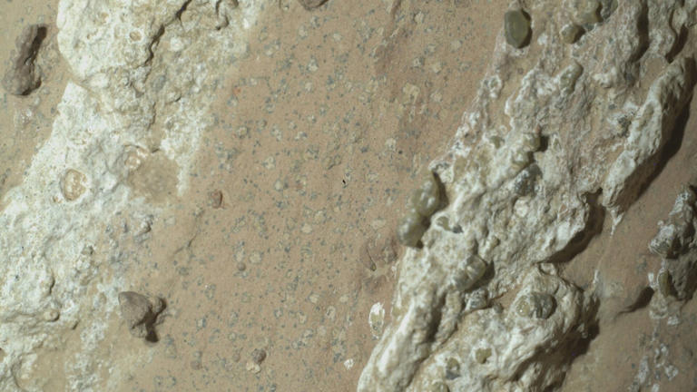 ‘Leopard spots’: NASA's Perseverance rover finds strong evidence of ...