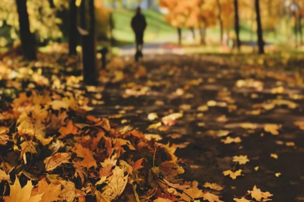 Five of the best autumn walks in Cornwall for crisp-air adventures