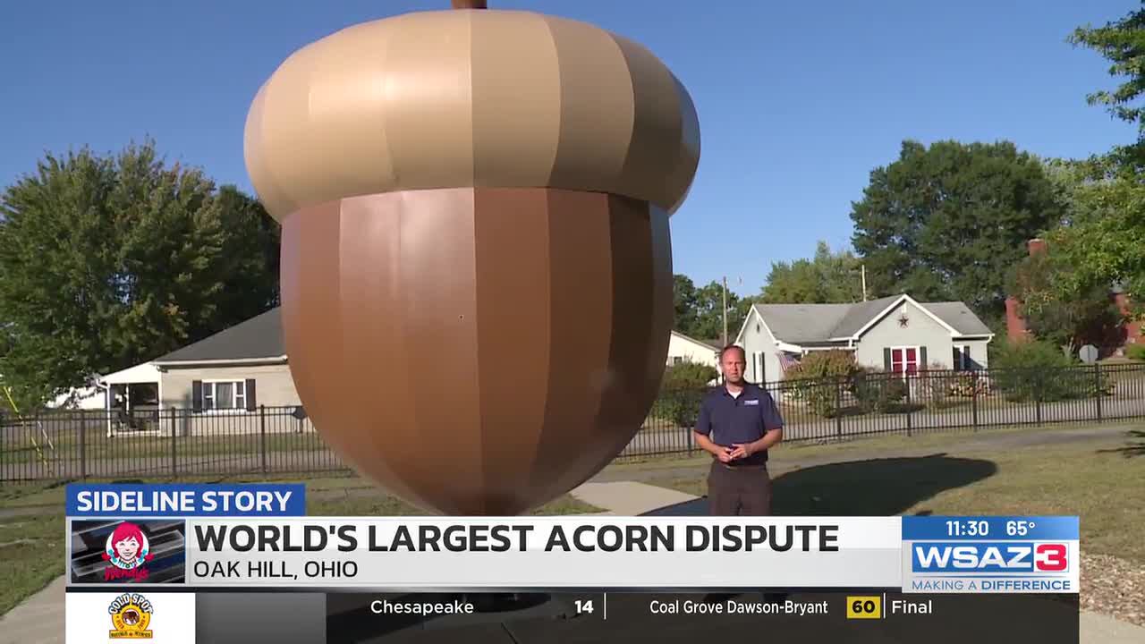 World’s Largest Acorn dispute