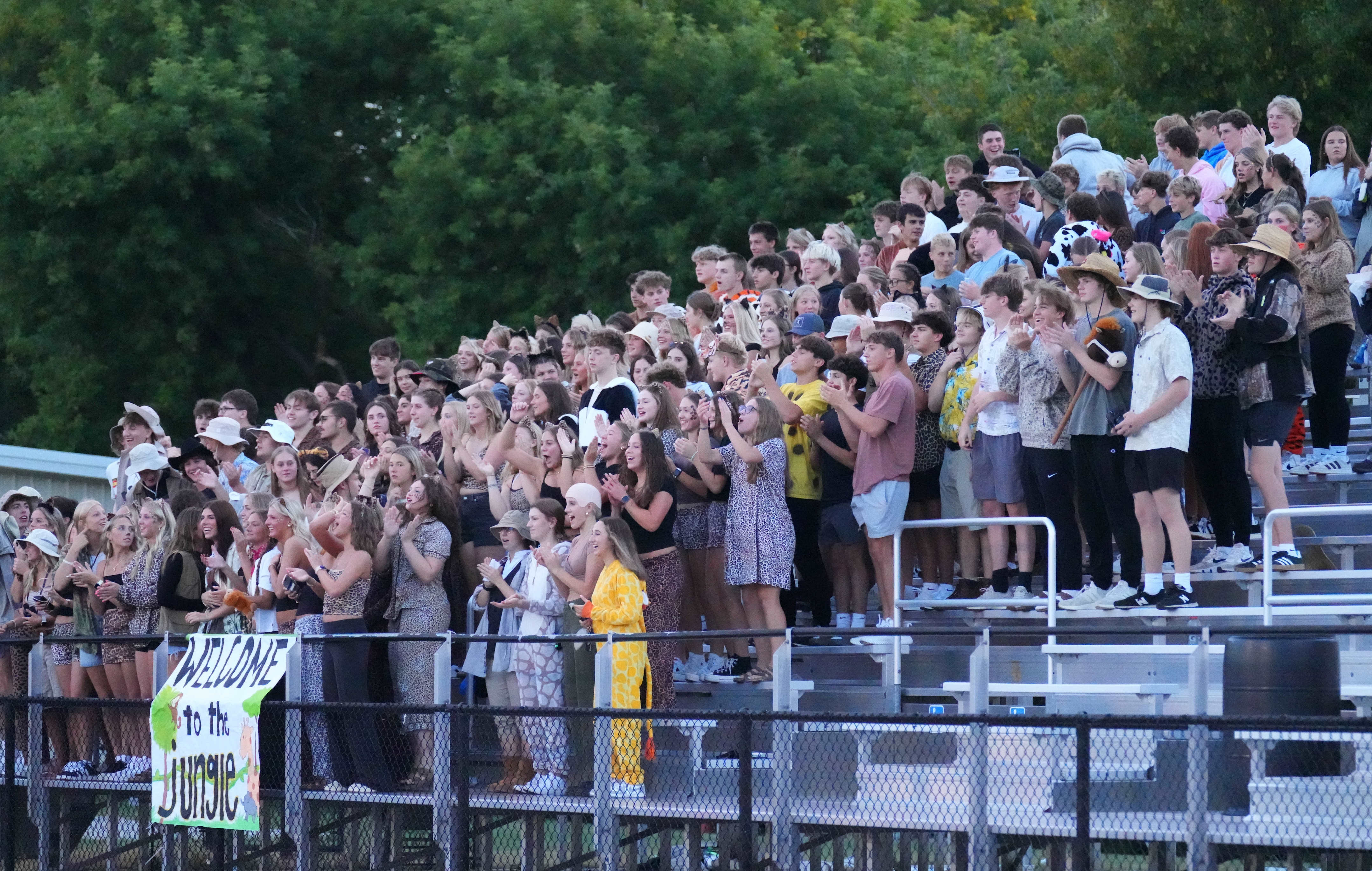 Replay: Wisconsin high school football scores, results, highlights from ...