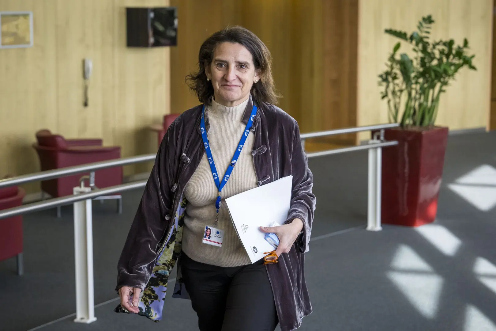 Ue, Ribera “Su Google intervento giusto, sulle banche decide la Dg Comp”