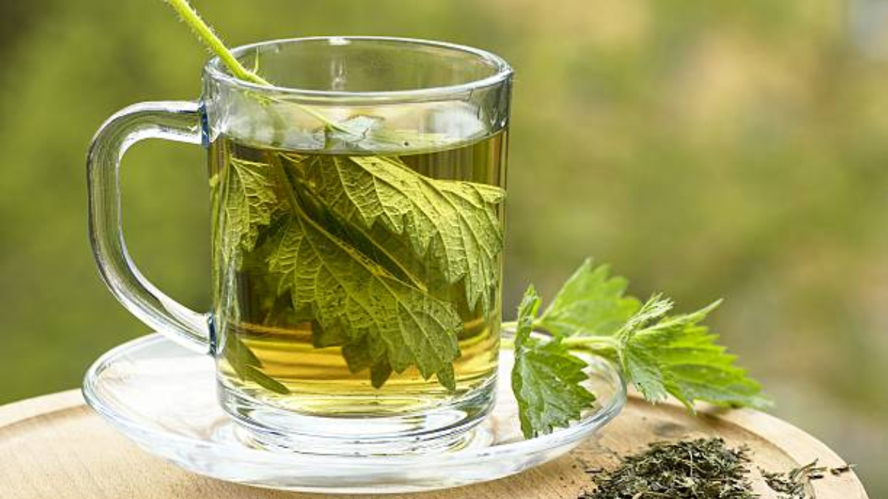Kidney health: Best herbal teas for kidney support besides water and ...