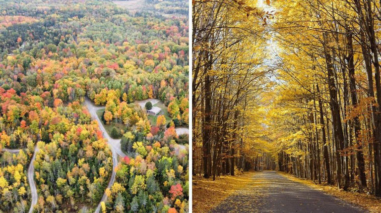 These are the best provincial parks near Toronto to visit this fall for ...
