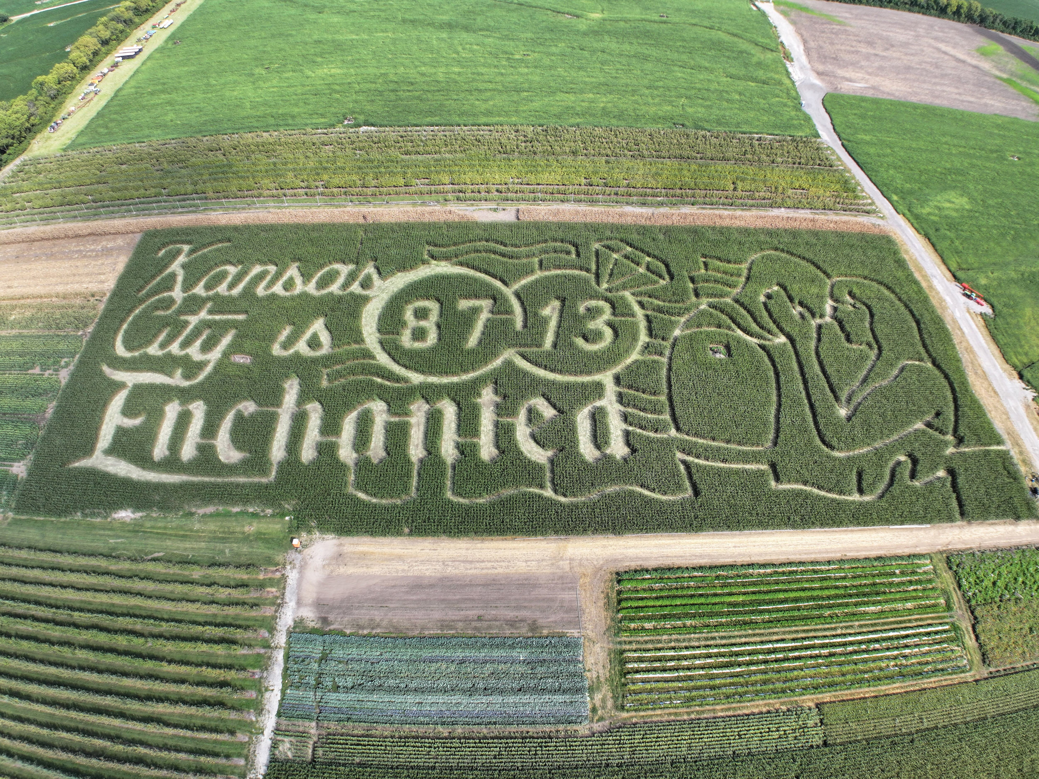 Back into the Hedge Maze: Metro area field dazzles with new Swift/Kelce ...