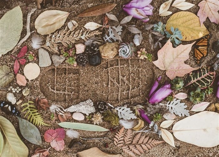 One Carbon World joins Carbon Markets Africa Summit as official climate ...