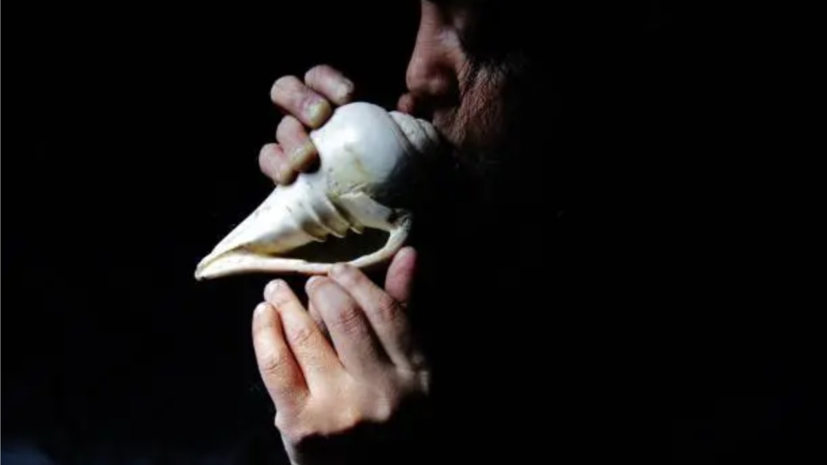 Blowing A Conch Shell: Ancient Practice Shows Promise For Sleep Apnoea ...